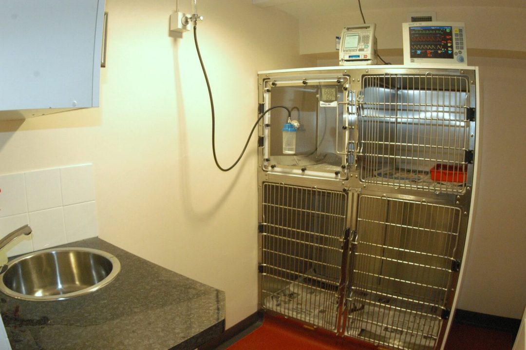Isolation Ward | BEST FRIENDS VETERINARY
