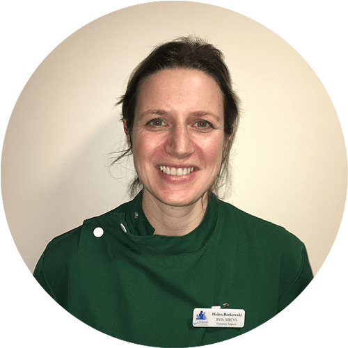 BEST FRIENDS VETERINARY | MALVERNS PREMIERE COMPANION ANIMAL VETERINARY ...